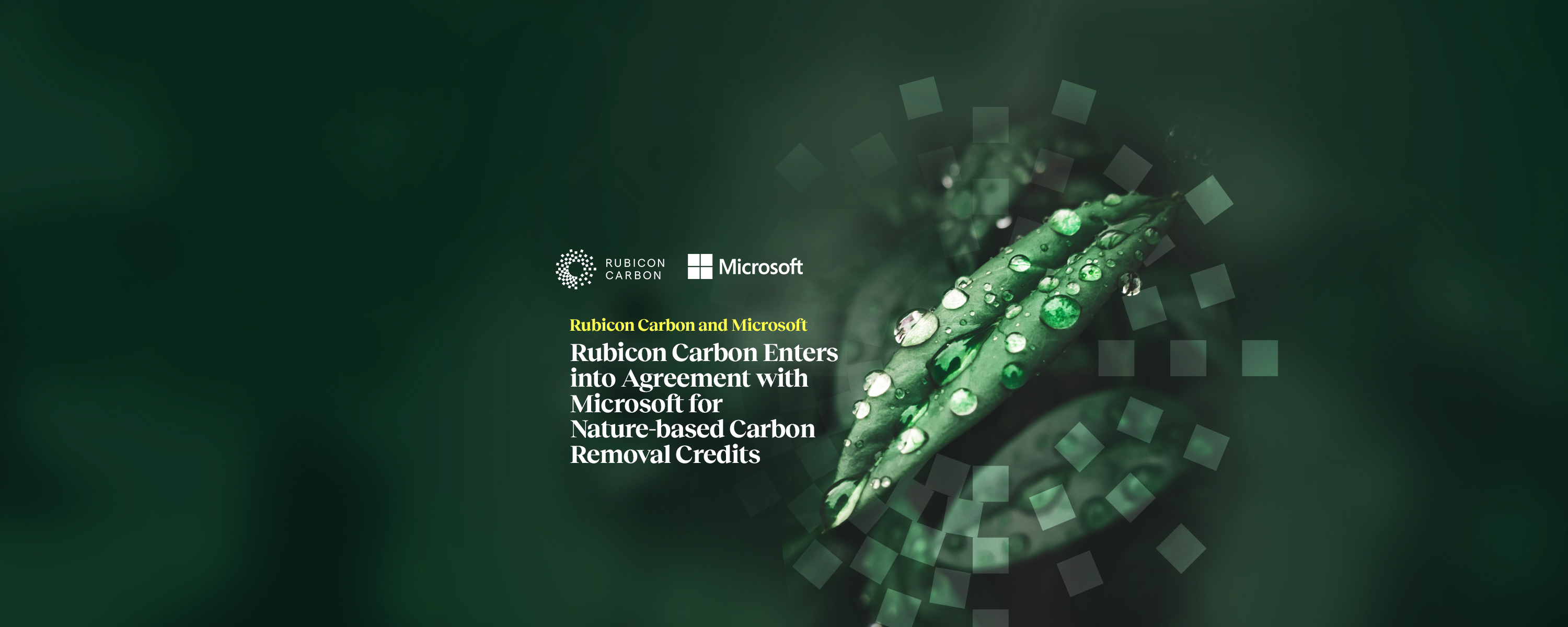 Rubicon Carbon Enters into Agreement with Microsoft for Nature-based ...