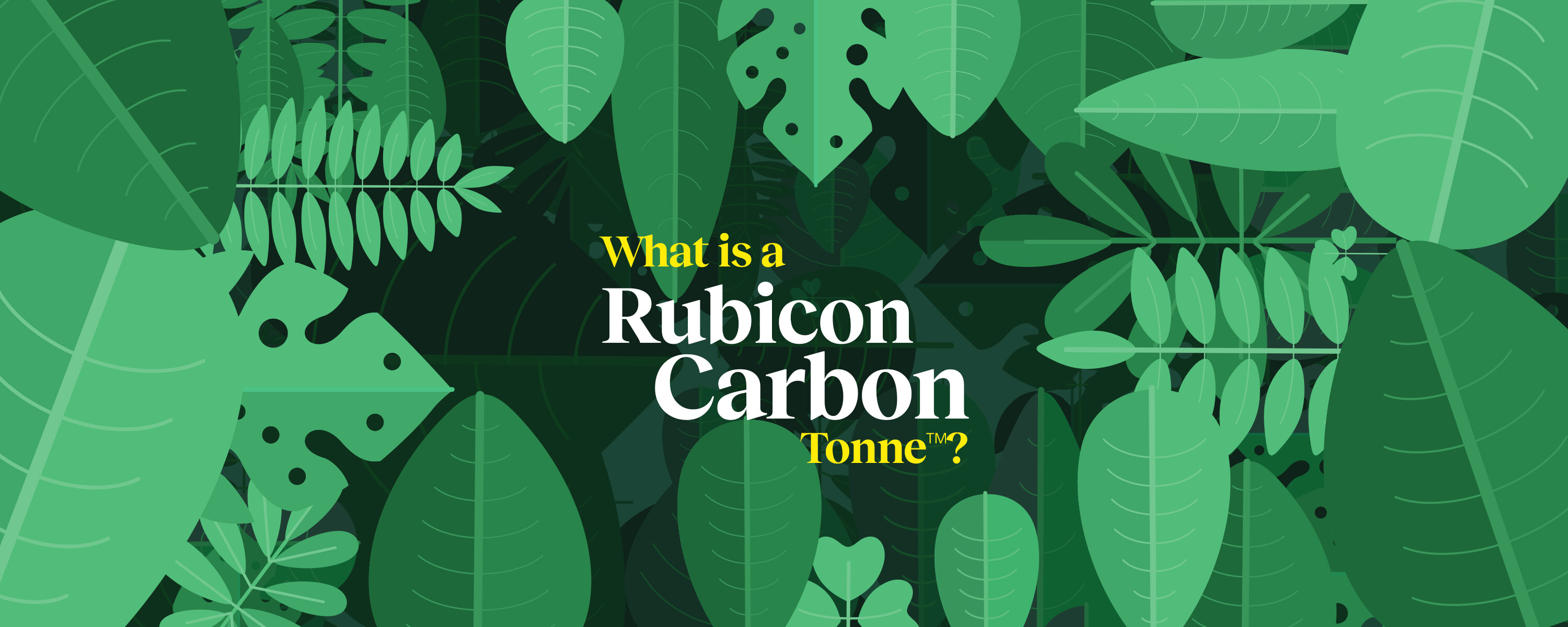 In the push for net zero, credit buyers shouldn’t leave the world’s forests behind