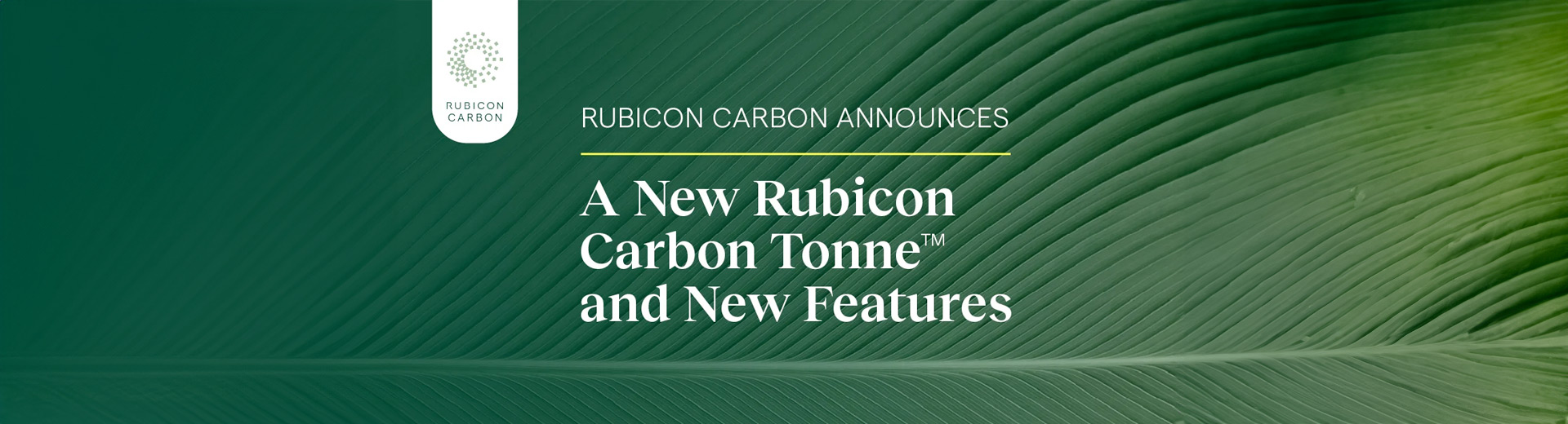 Rubicon Carbon Announces Two New Features to Improve VCM